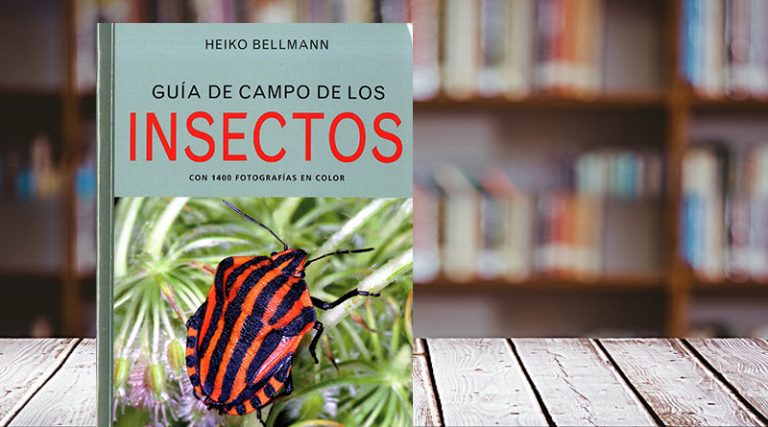 Guía de campo de los insectos – CENIDA
